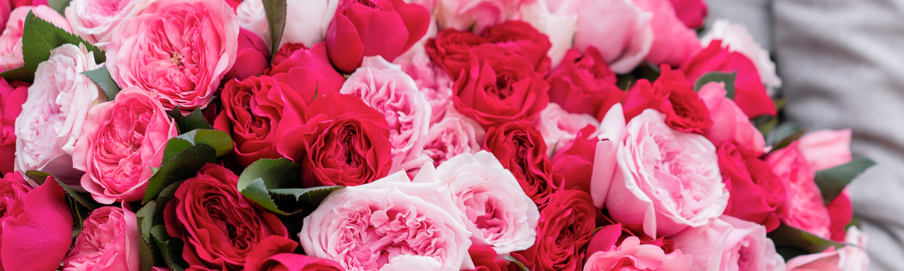 Milwaukee Florist - Same-day Flower Delivery Milwaukee - Welke's Florist