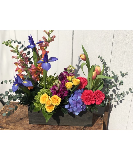 Spring Flowers Milwuakee - Same-day Flower & Gift Delivery